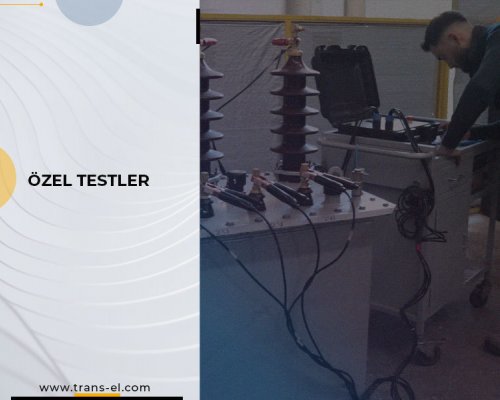 Özel Testler